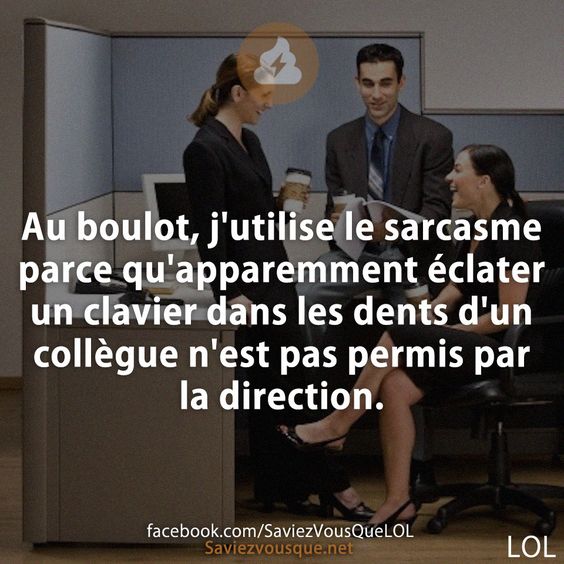 Au boulot, j’utilise le sarcasme parce qu’apparemment éclater un ...